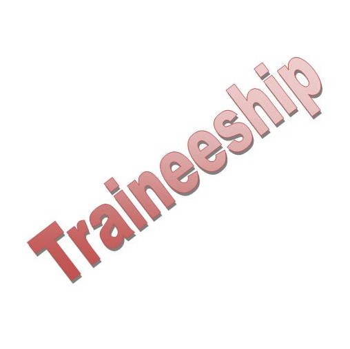 Traineeships Logo